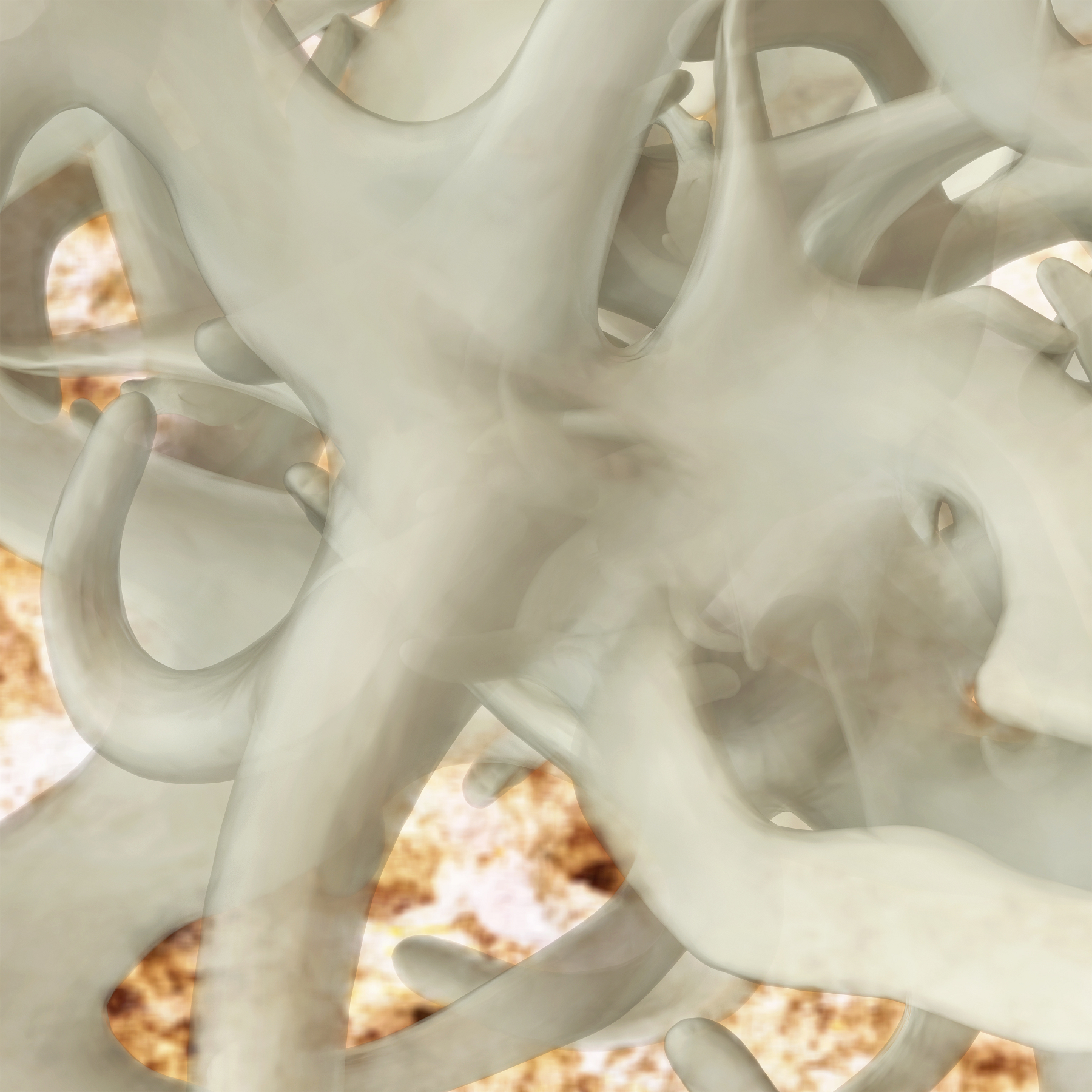 Faszien – TheraPhysio im GEP